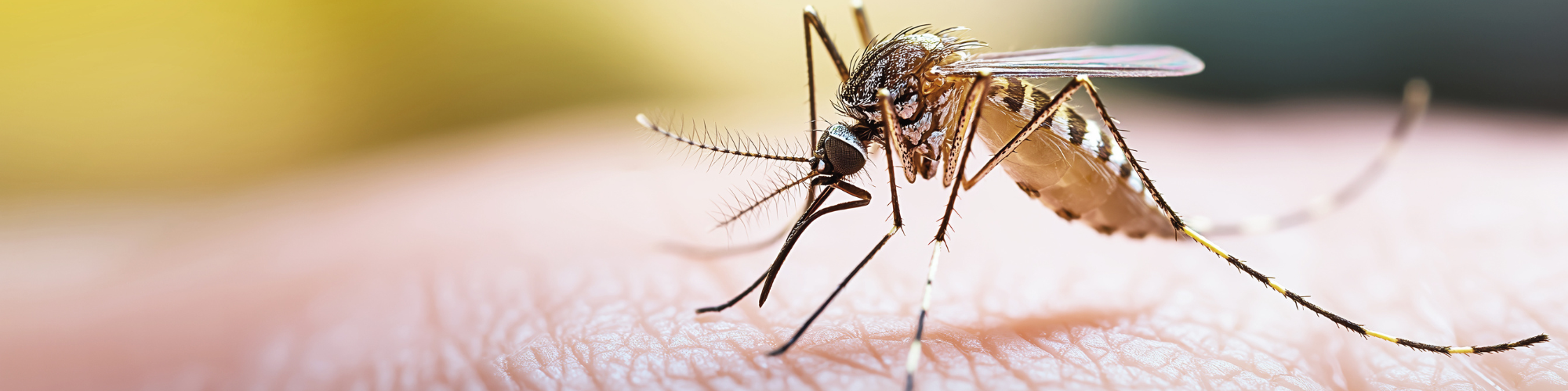 Animal and Insect Bites and Stings | Get Well Urgent Care | Convenient ...